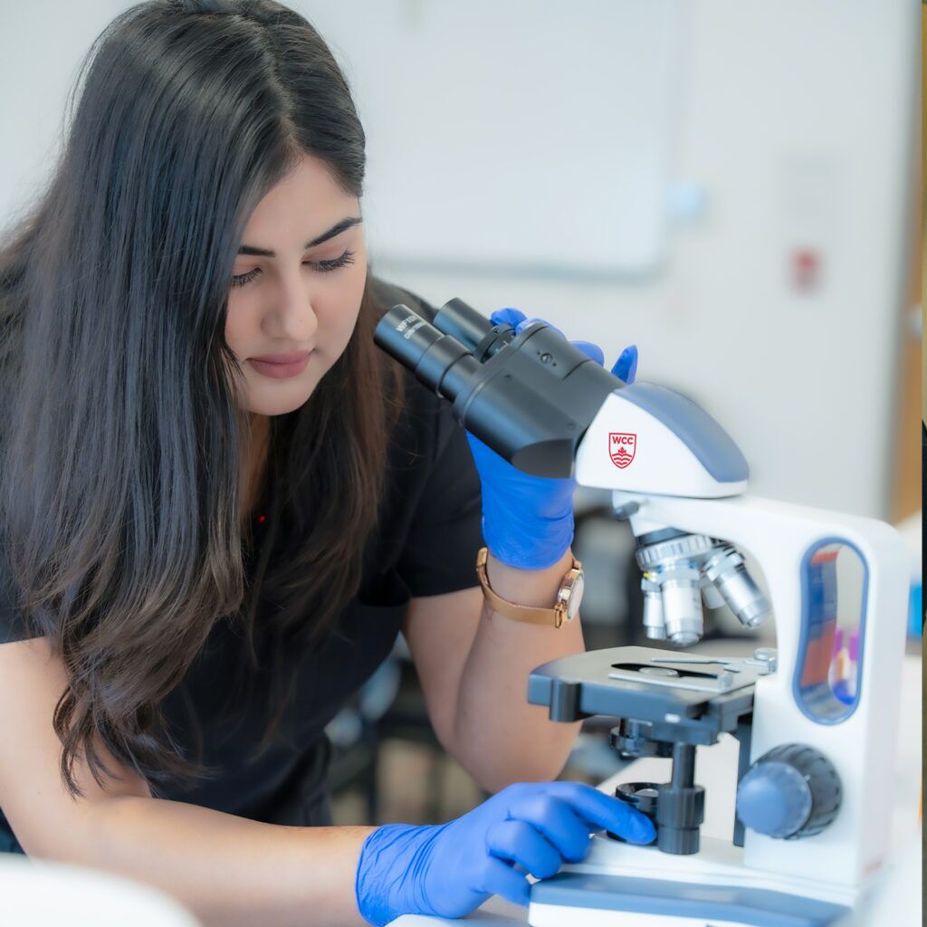 Activity Assistant Certificate | Senior Care – WCC